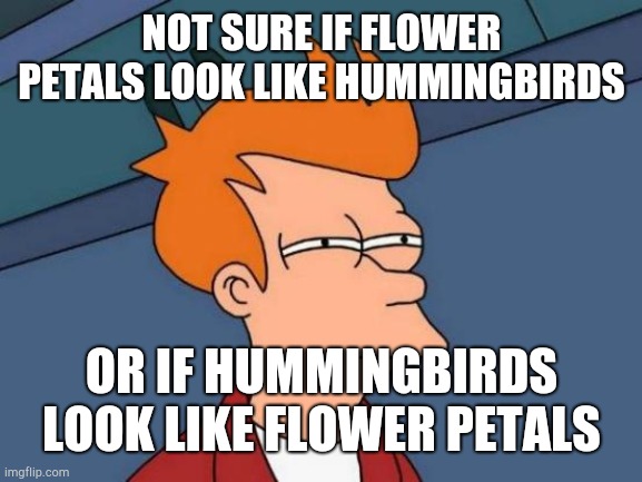 These flower petals look like hummingbirds. - Imgflip