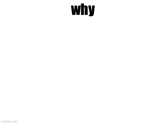why - Imgflip