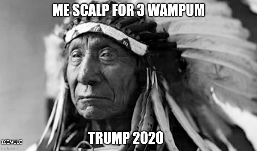 Image tagged in indian chief - Imgflip