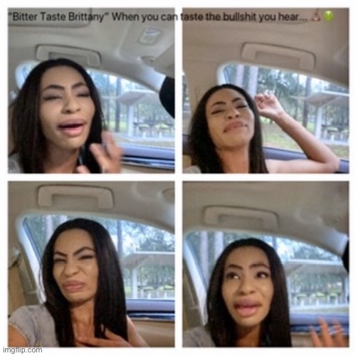 Image tagged in bitter taste brittany - Imgflip