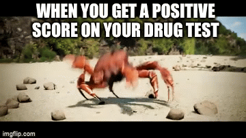 Testing positive every day BOIIIIS - Imgflip