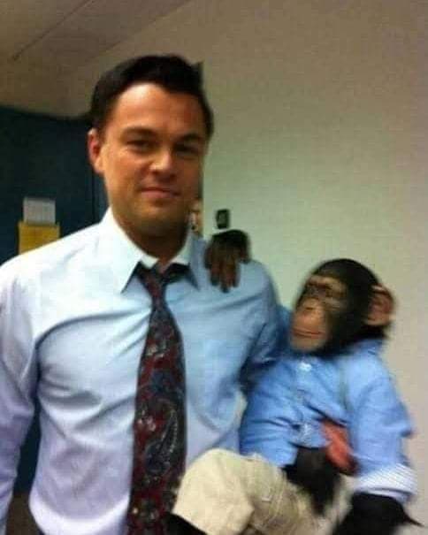 Leonardo Dicaprio And The Monkey Blank Template Imgflip