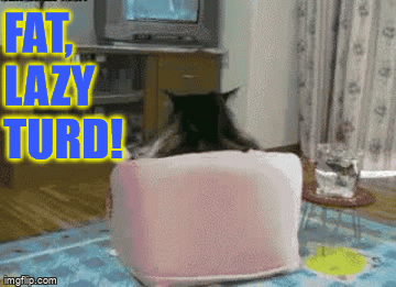 Lazy & fat - Imgflip