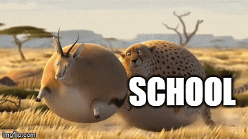 Fat Animals - Imgflip