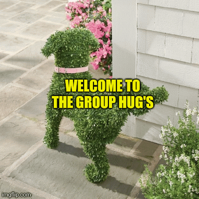Beautiful lawn ordiment decorations welcome to the group hug's - Imgflip