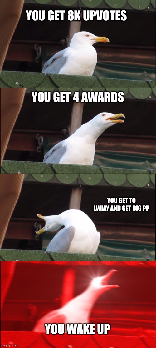 Inhaling Seagull Meme - Imgflip