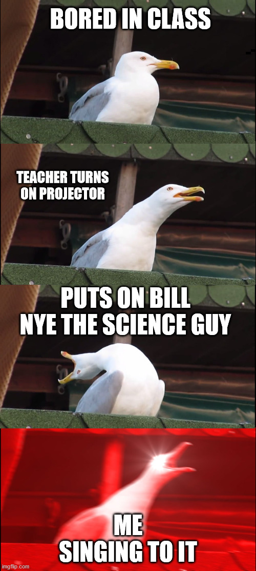 Screaming Seagull - Imgflip