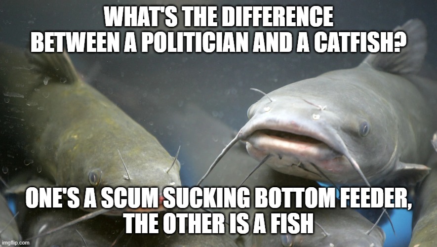 Politicians Imgflip