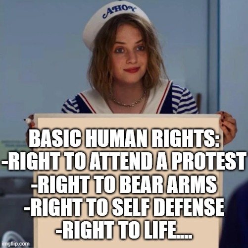 I thought I make a meme about Libertarian 101: basic human rights for ...