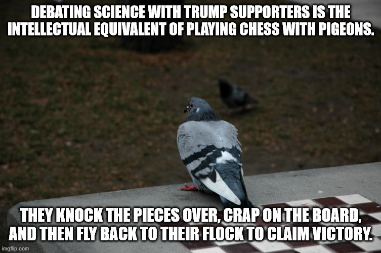 Last year, Trump supporters were experts in economics and trade policy ...