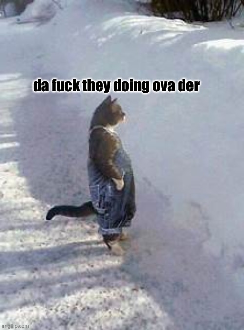 DA fuck they doin ova der - Imgflip