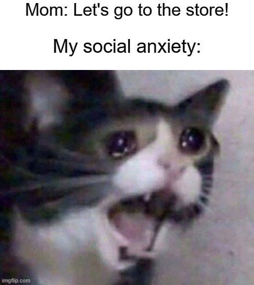 Image Tagged In Blank White Template social Anxiety screaming Cat Imgflip