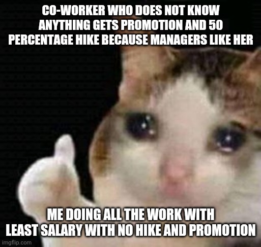 sad thumbs up cat - Imgflip