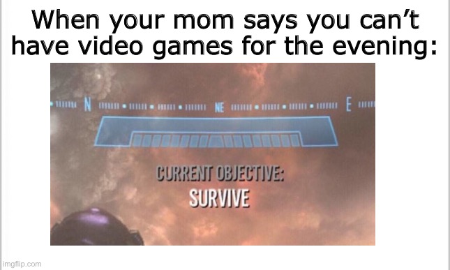 The Meme Of The Day Imgflip