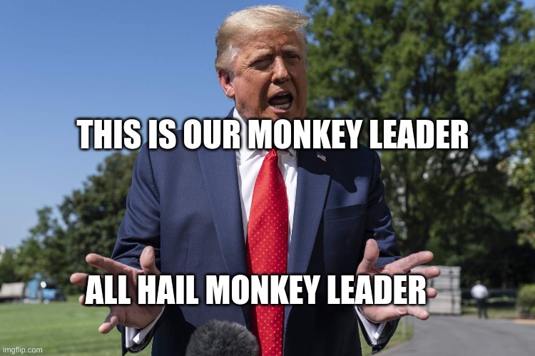 Image tagged in politics - Imgflip