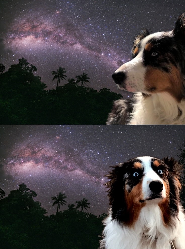 Ruby Blank Template - Imgflip