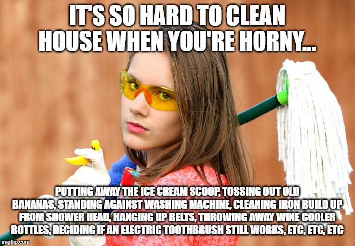 Clean House - Imgflip