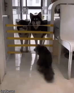 Wait for it... - Imgflip