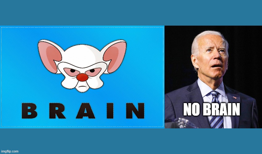 BRAINLESS BIDEN - Imgflip