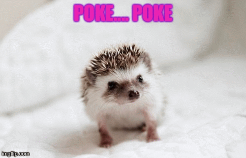 Poke - Imgflip