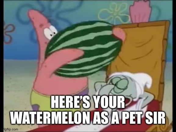 Watermelon is her favorite animal - Imgflip