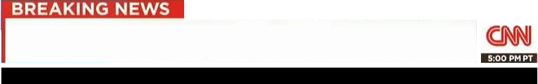Transparent Blank Youtube Banner Template Img palmtree