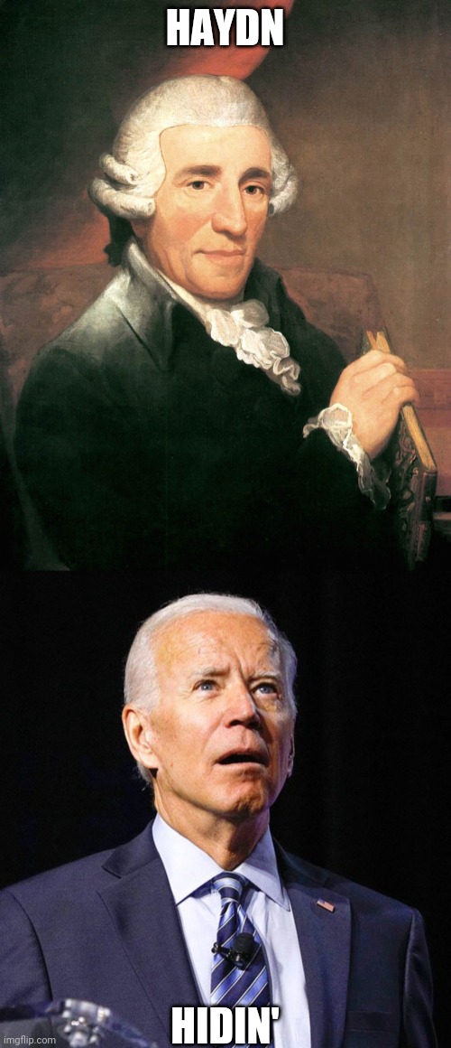 Haydn Memes