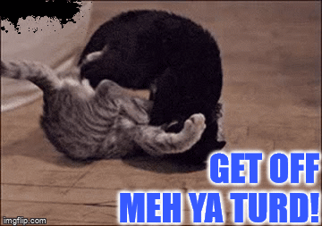 Get off meh - Imgflip