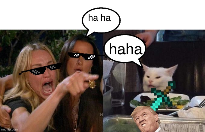 Woman Yelling At Cat Meme - Imgflip