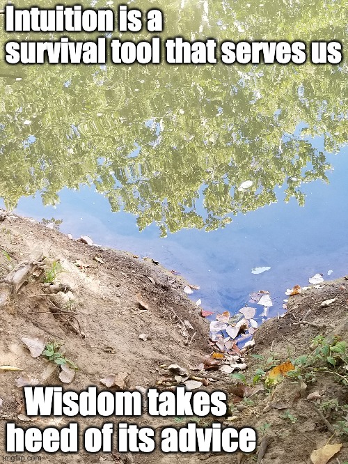 intuition - Imgflip