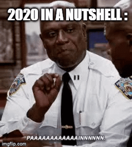 2020 in a nutshell: - Imgflip