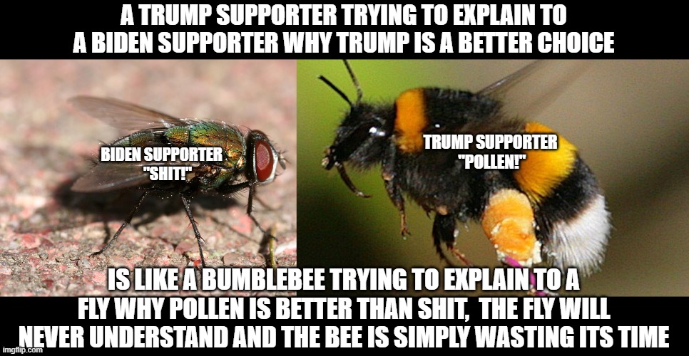 "if you work hard , you can make pollen into honey.. ", "NO! I want ...