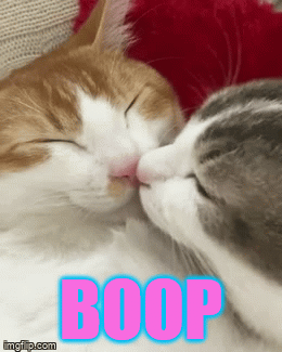 Boop - Imgflip