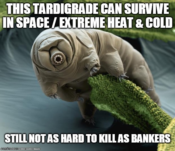 tardigrade - Imgflip