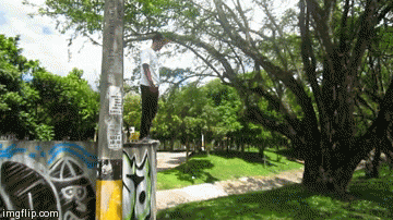 Gainer Whizy - Imgflip