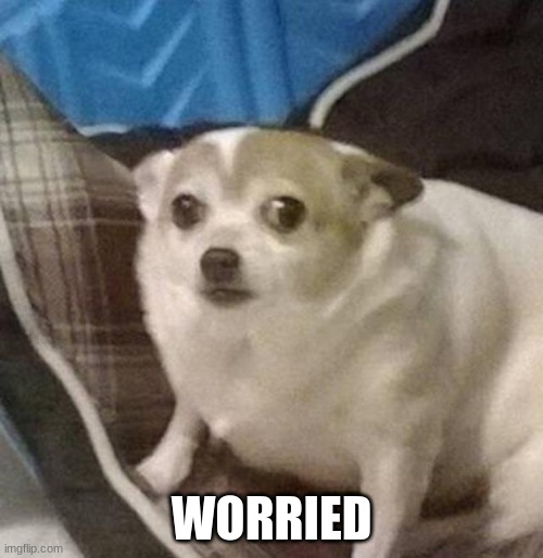Worried Imgflip Worried Imgflip