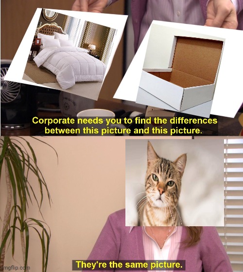 They re The Same Picture Meme Imgflip
