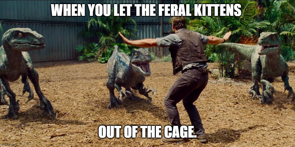 Jurassic Park Raptor Imgflip