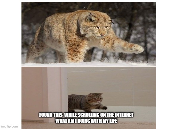 (No subject) - Imgflip