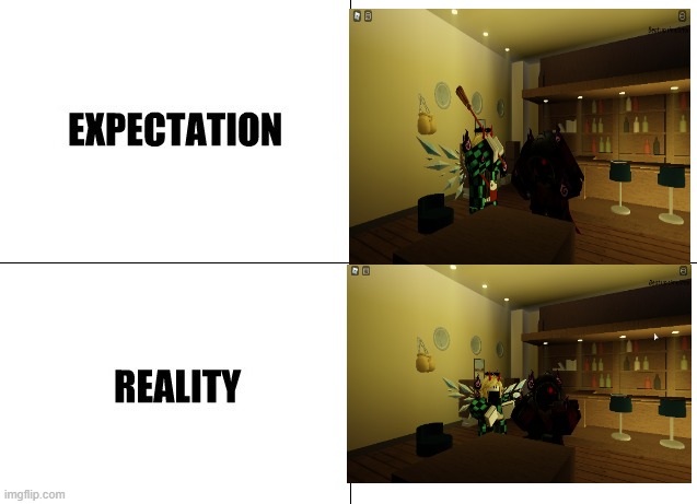 Expectation vs Reality - Imgflip