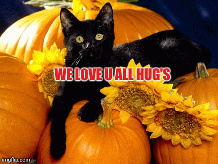 Fall kitty images we love u all hug's - Imgflip