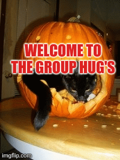 Fall kitty images welcome to the group hug's - Imgflip