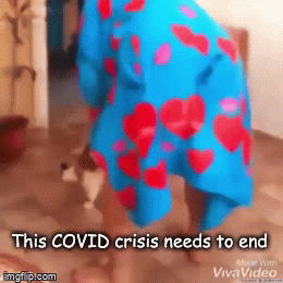 Cat Bathrobe Dance - Imgflip