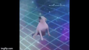 Dancing doggo - Imgflip