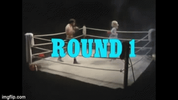 Python Pounding - Imgflip