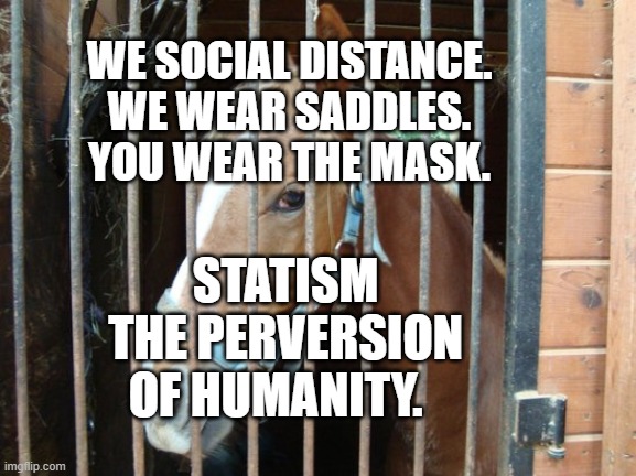 Horse in stable - Imgflip