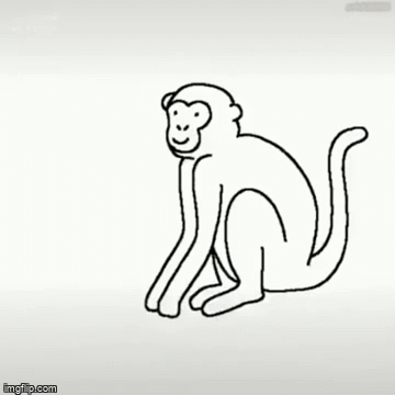 Monkey - Imgflip