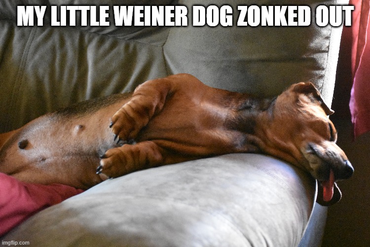 took this photo myself not like the cheaters on here - Imgflip