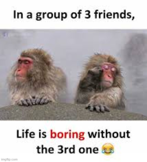 The third one - Imgflip