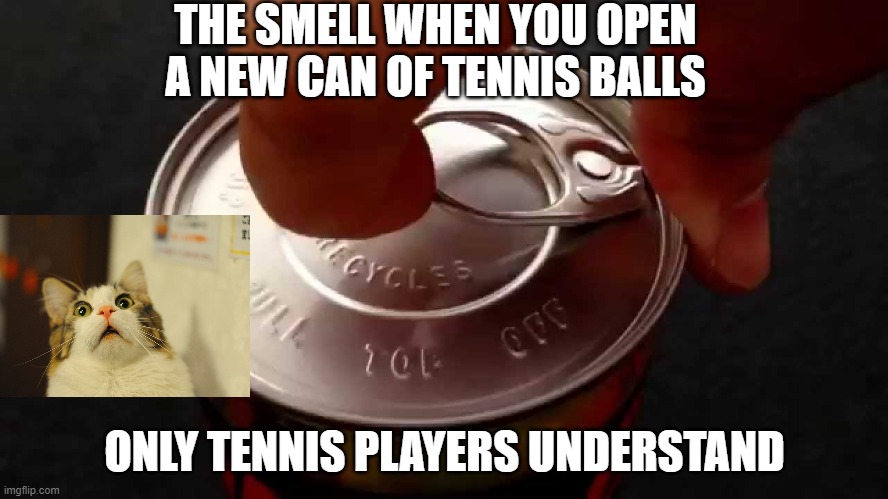 Smell Balls Memes Smelly Balls Are My Specialty GIFs Find & Share On